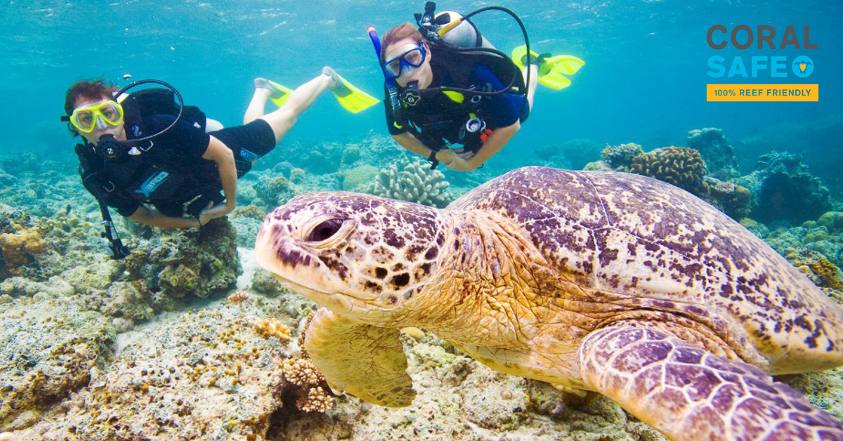 Why you should use reef safe sunscreen? | Coral Safe